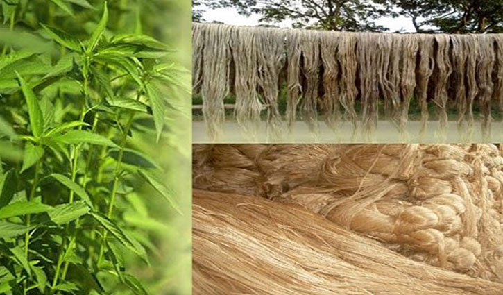 National Jute Day today