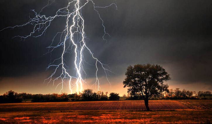 ধান কাটতে গিয়ে বজ্রপাতে দুই কৃষকের মৃত্যু