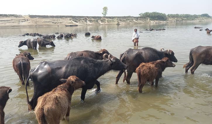 রাজশাহীতে মৌসুমের সর্বোচ্চ তাপমাত্রার রেকর্ড