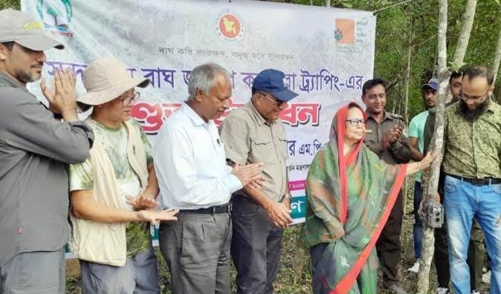 সুন্দরবনে শুরু হলো বাঘ গণনা